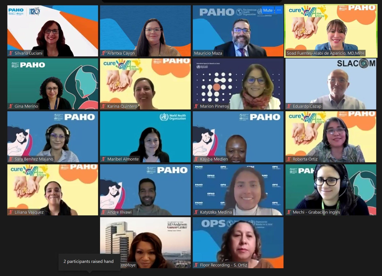 PAHO World Cancer Day 2024 Webinar